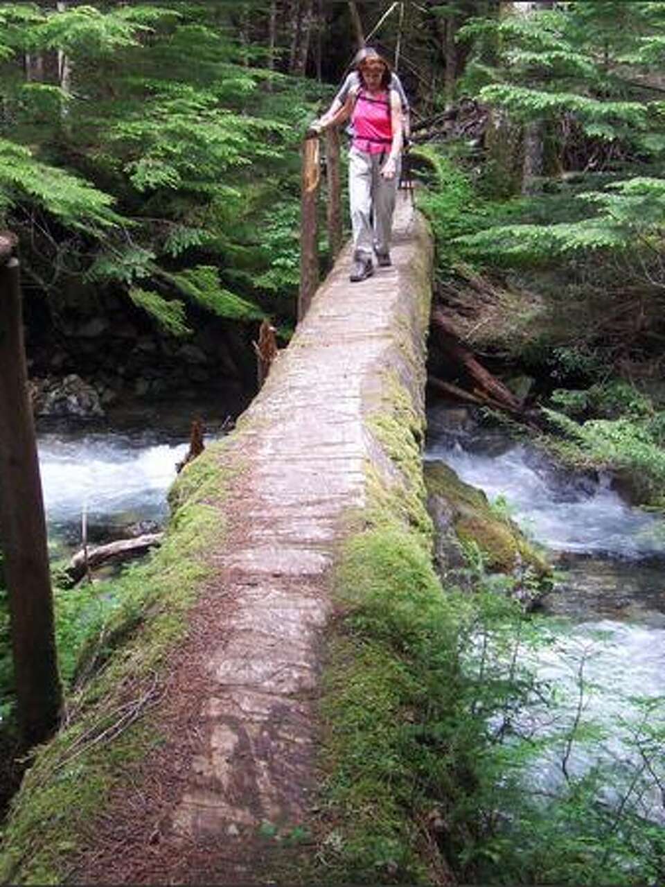 Hike Of The Week: Middle Fork Road's views are the ultimate payoff