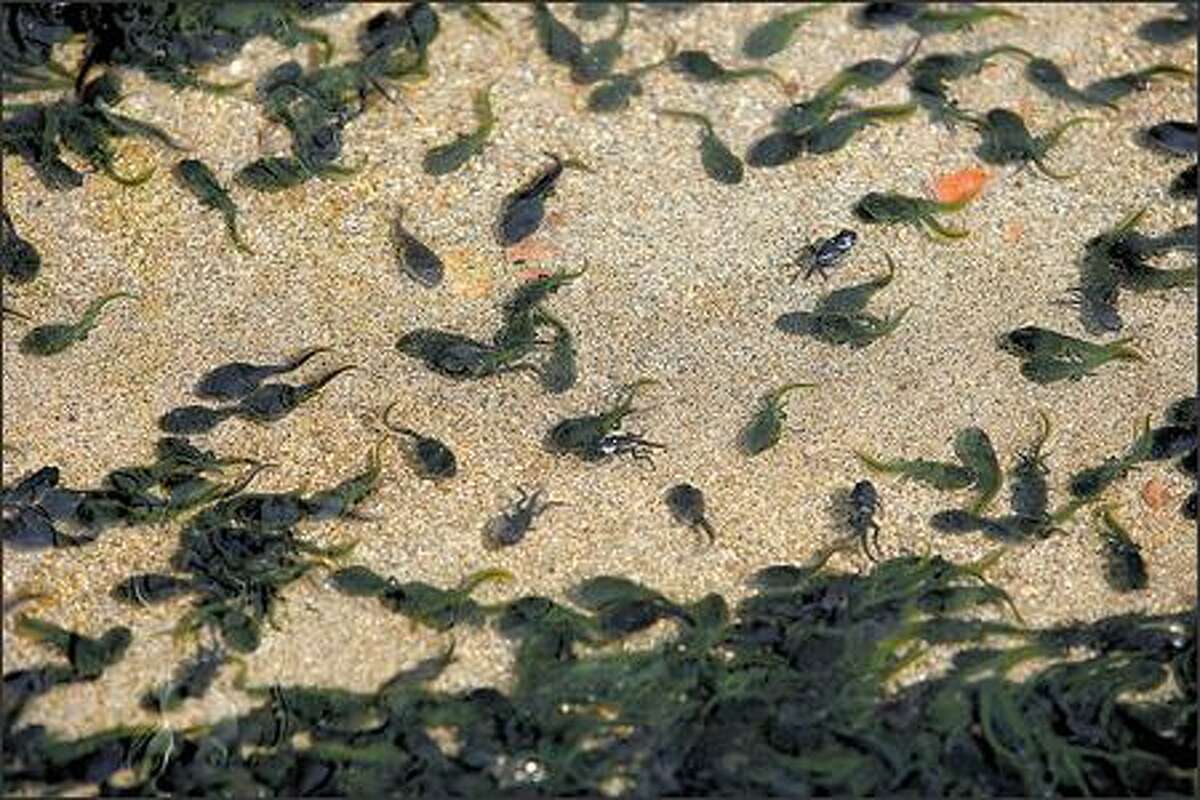 Short Trips: Feast your eyes on Seattle's water supply