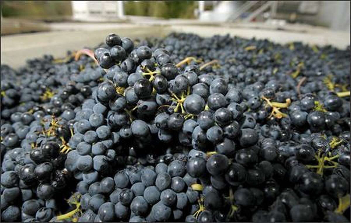 Short Trips: A bunch of tasting rooms in spitting distance