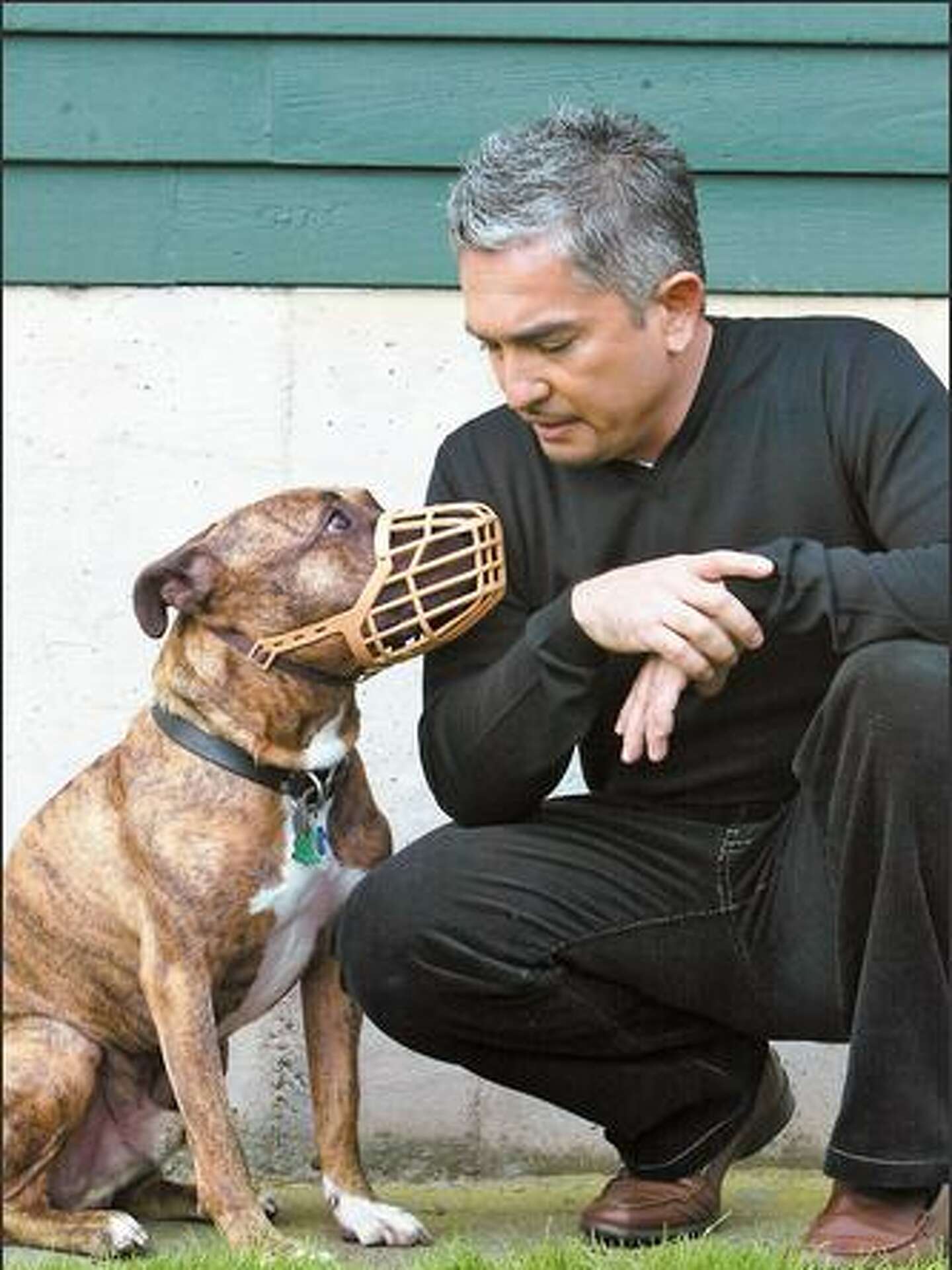 Dog Whisperer Cesar Millan teaches local canines to play nice