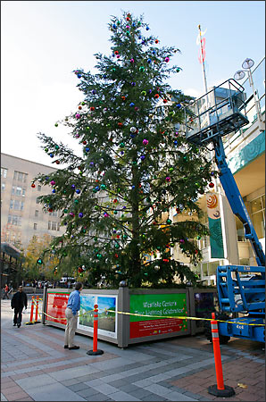 Westlake's 'Charlie Brown' tree draws criticism
