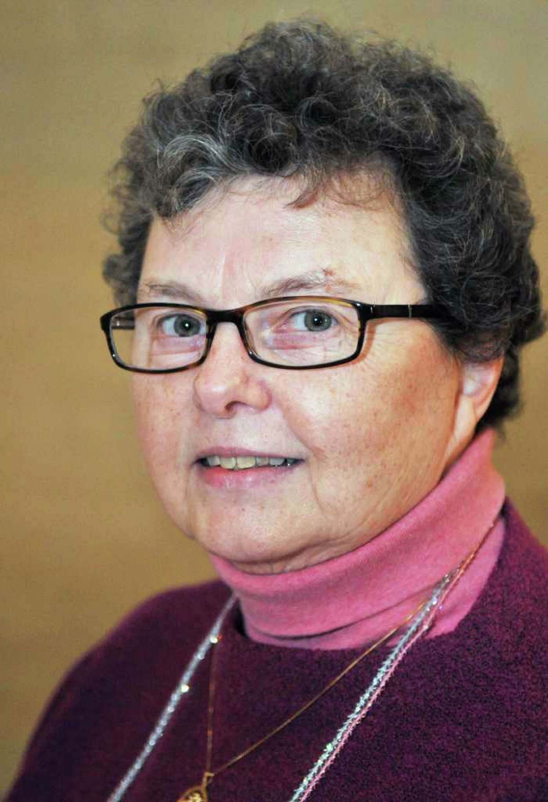 Schenectady candidates introduced