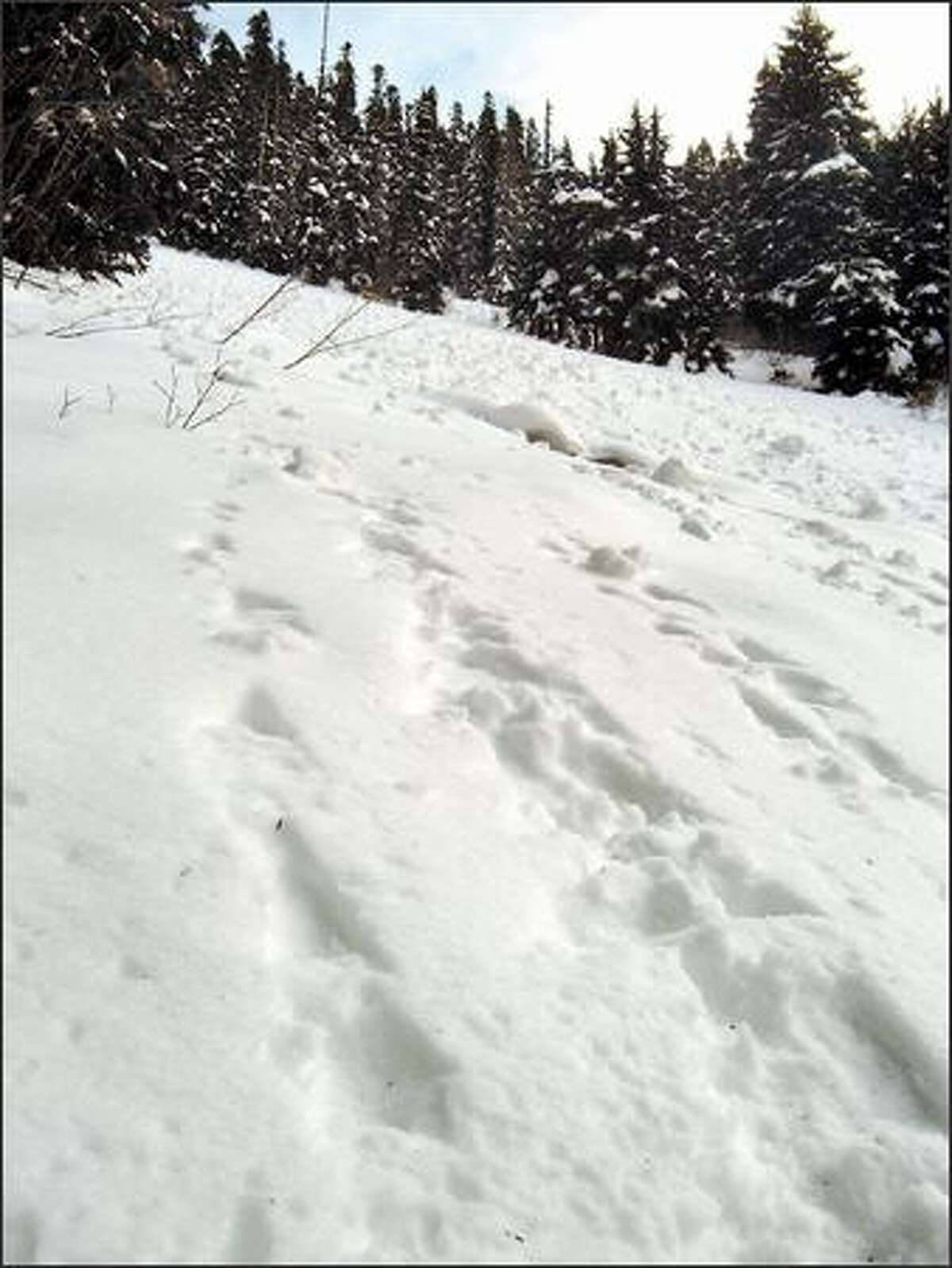 Snow going: Preparation can help avert disaster