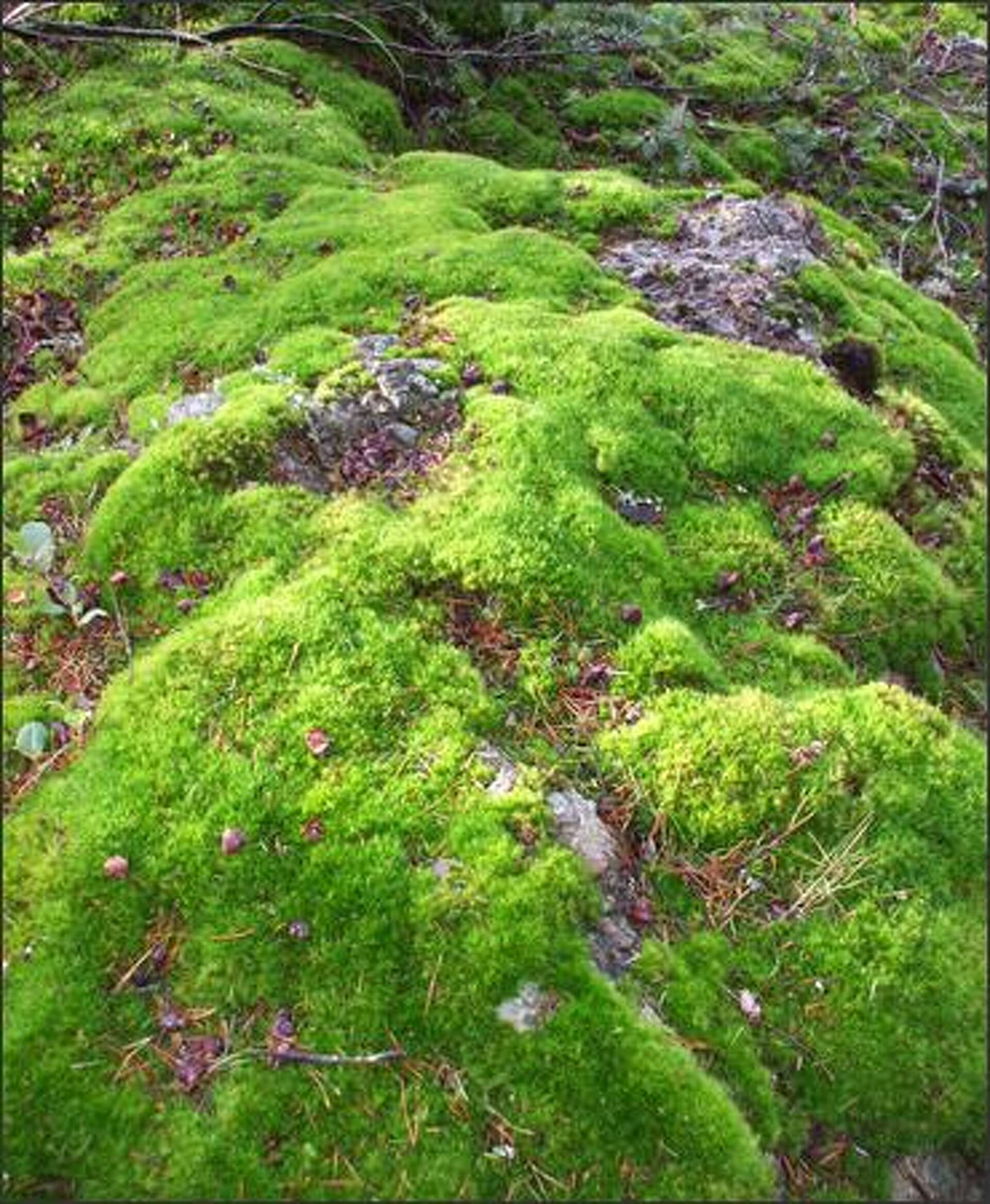 Hike Of The Week: Don't be a sucker -- buy a map before you go