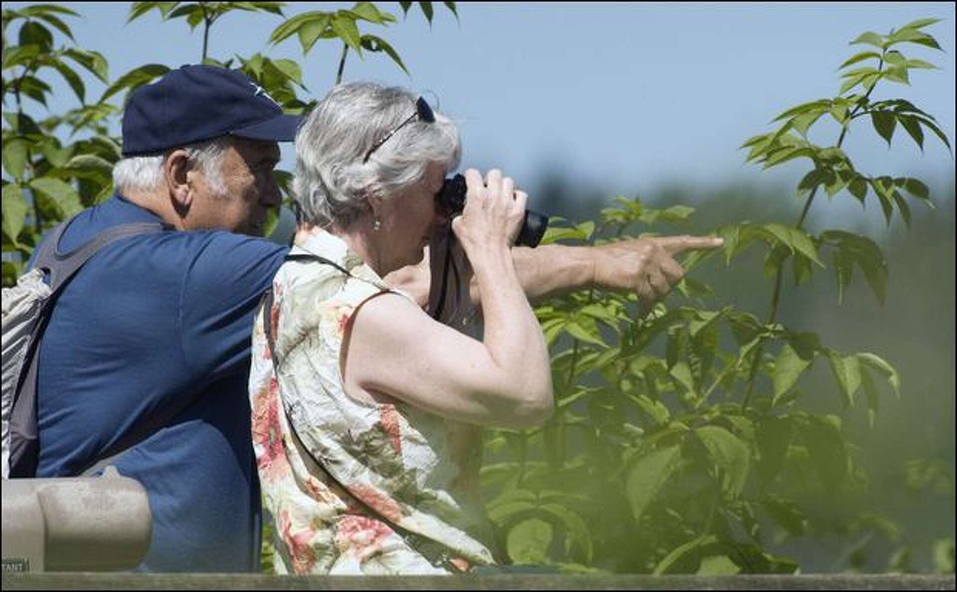 Bird's-eye views are the norm at Nisqually National Wildlife Refuge