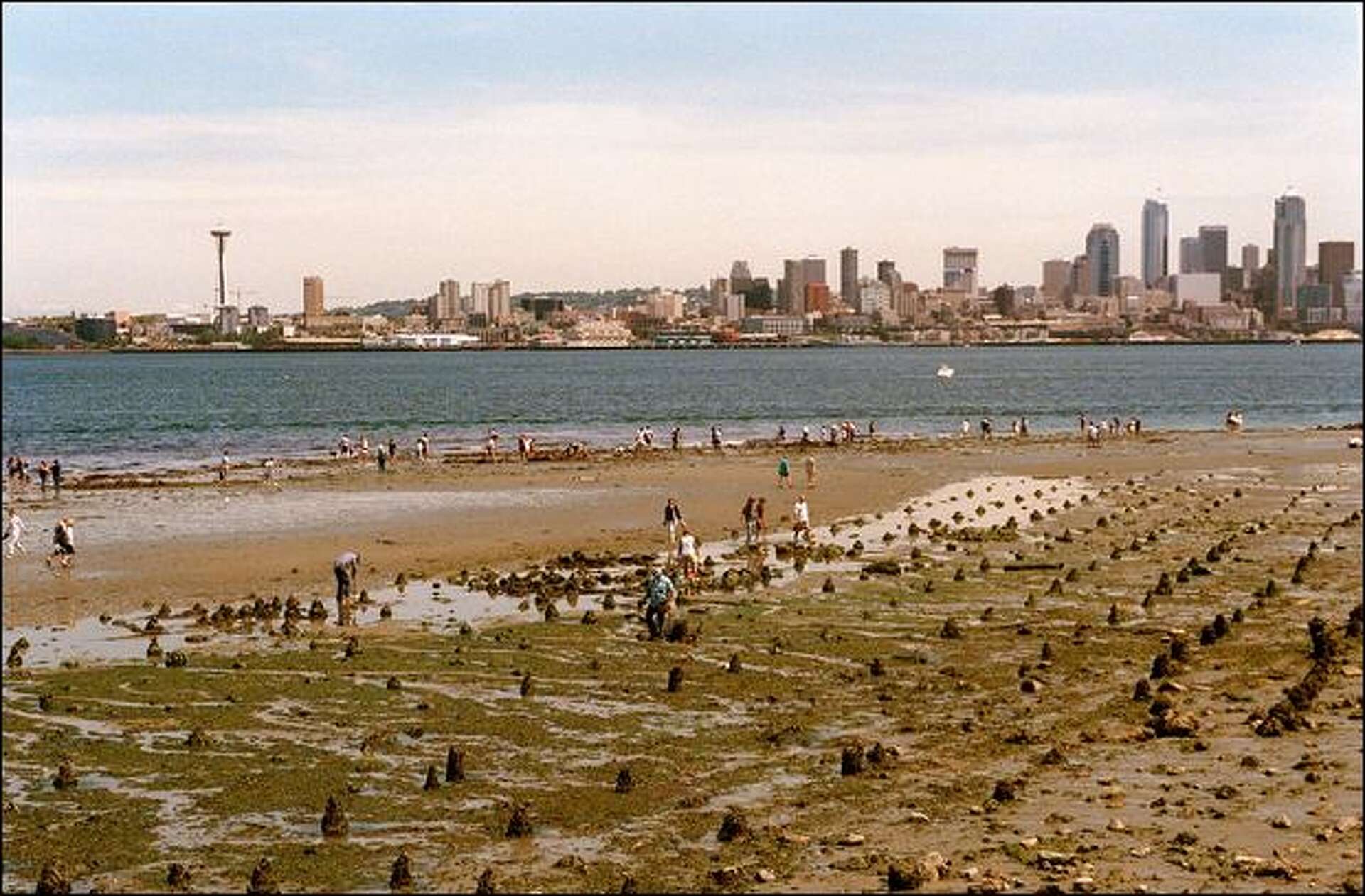 Waves of memories at Alki