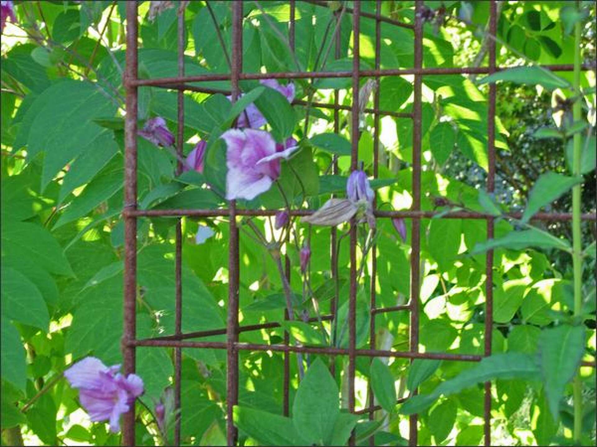The Grounded Gardener: Construction materials bring function and form ...