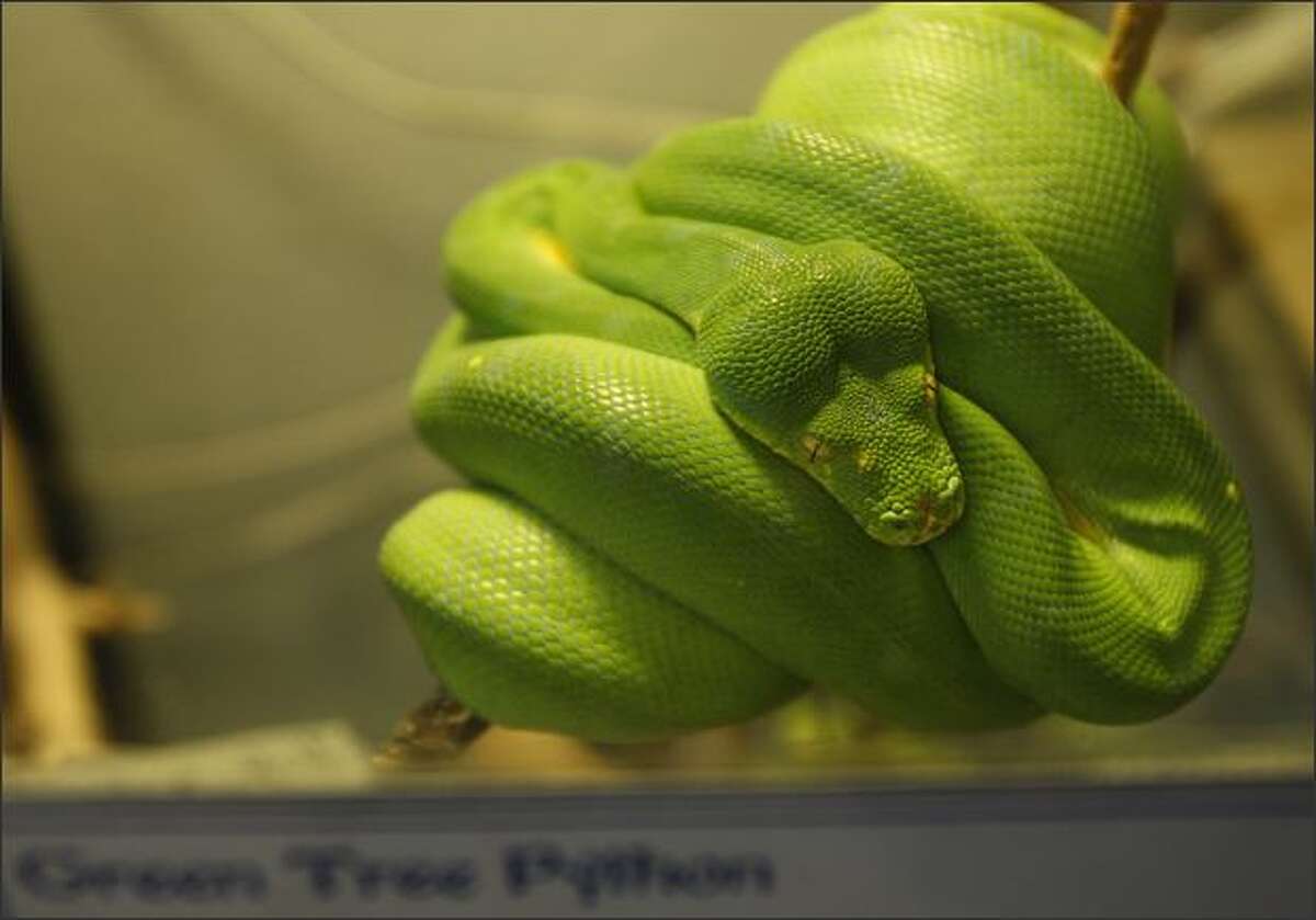 Step back into Monroe's past or get wrapped up in the Serpentarium's ...