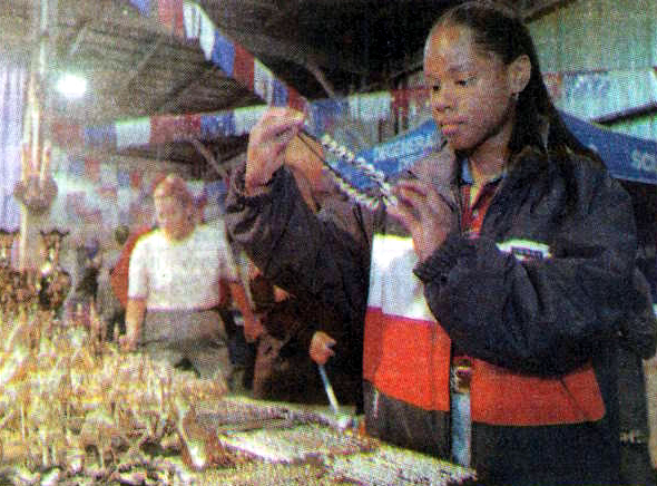 South Texas State Fair 1995-2000