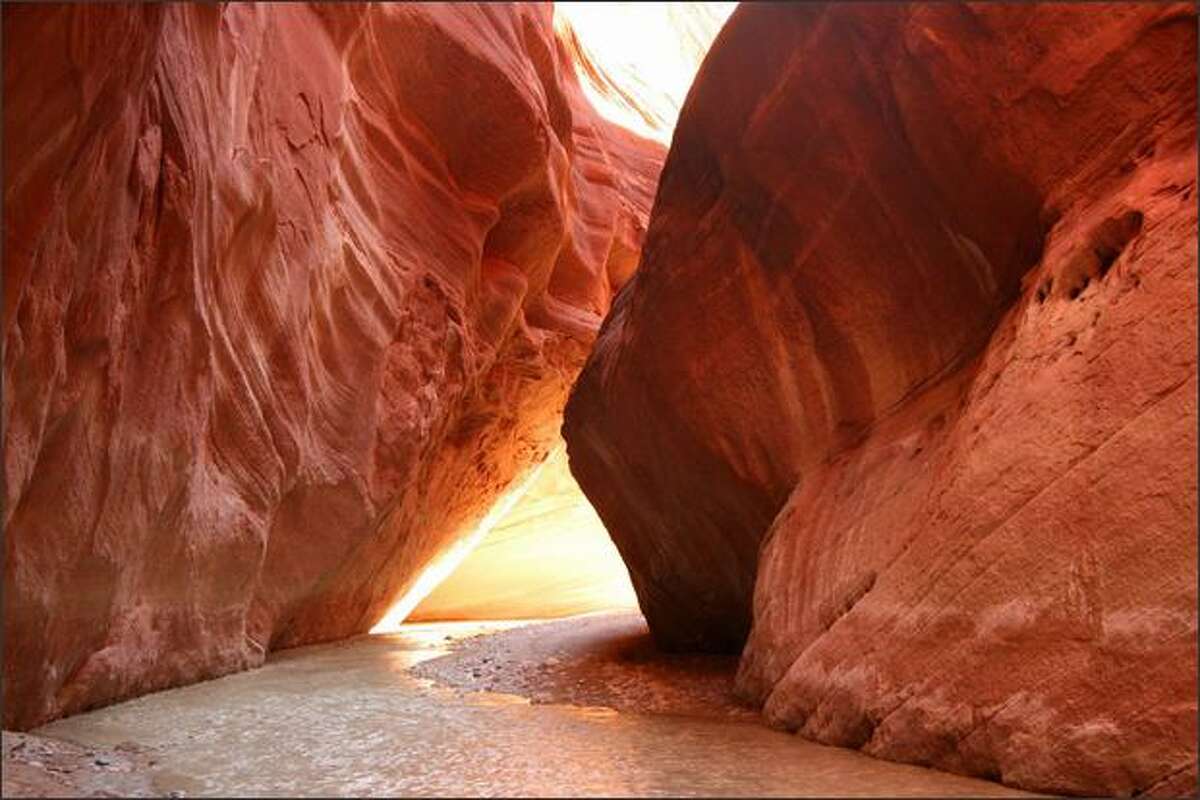 Hiking the Southwest's magical Paria Canyon is an artfully arduous odyssey