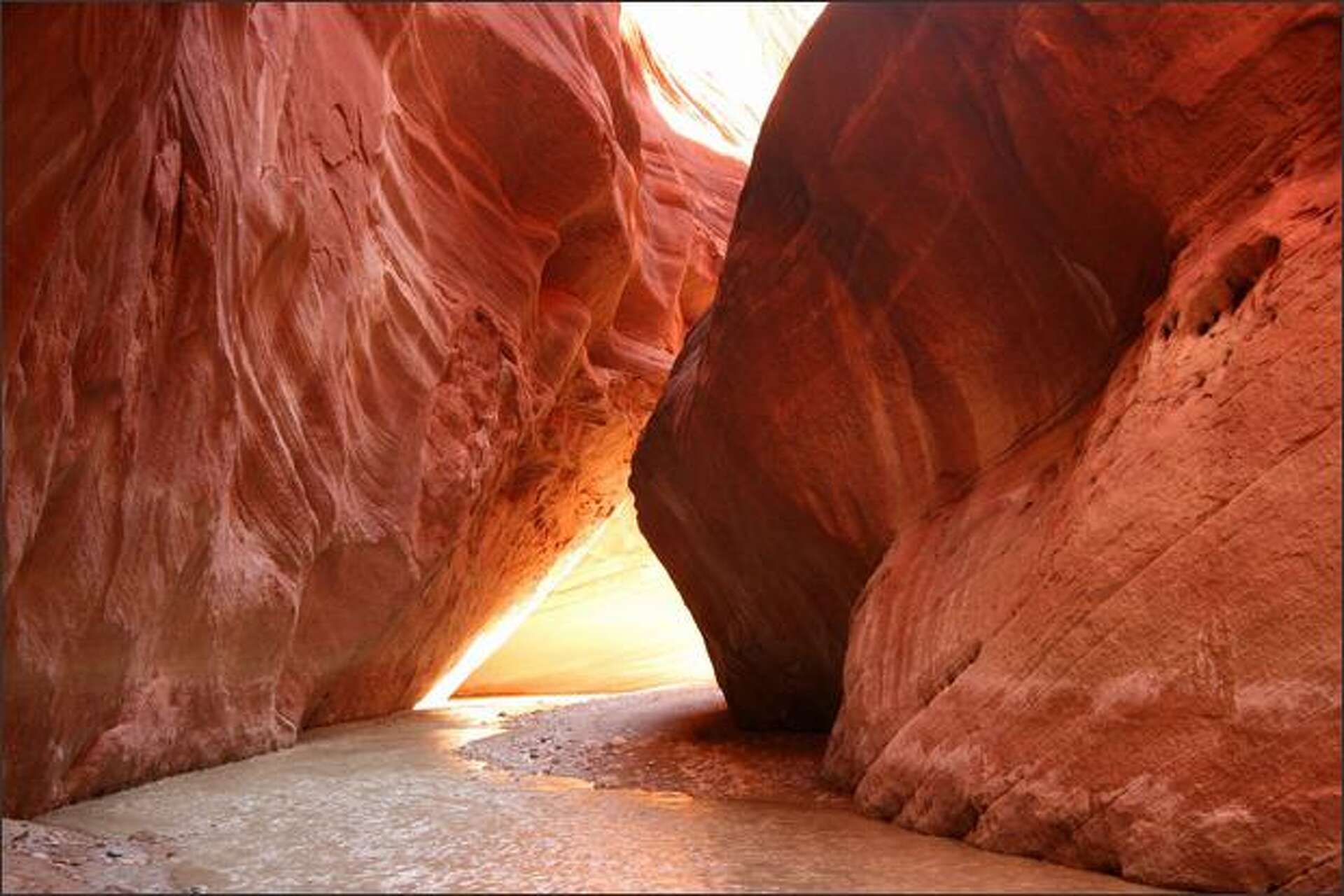 Hiking the Southwest's magical Paria Canyon is an artfully arduous odyssey