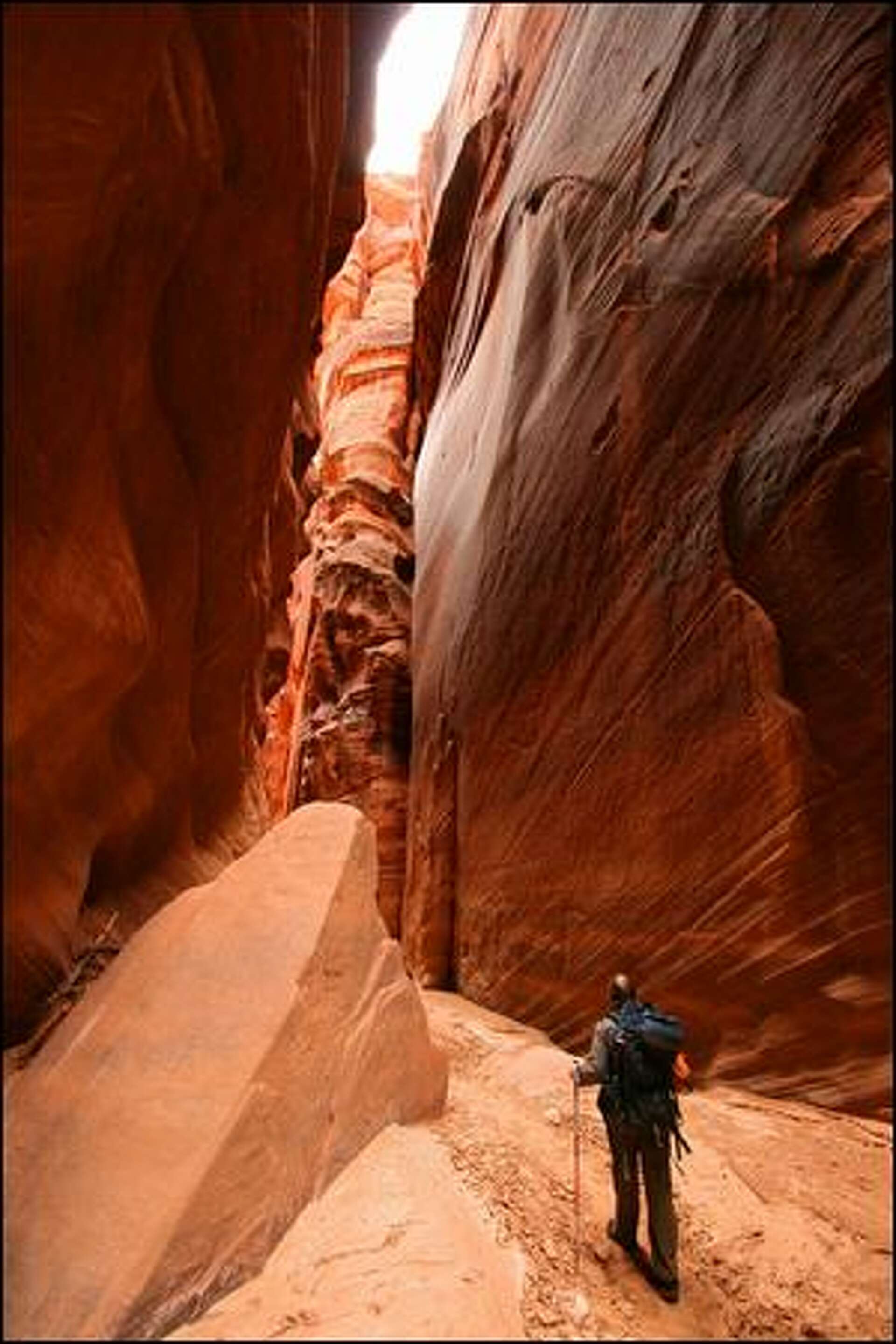 Hiking the Southwest's magical Paria Canyon is an artfully arduous odyssey
