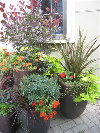 The Grounded Gardener: A coach can help you gain ground in your yard