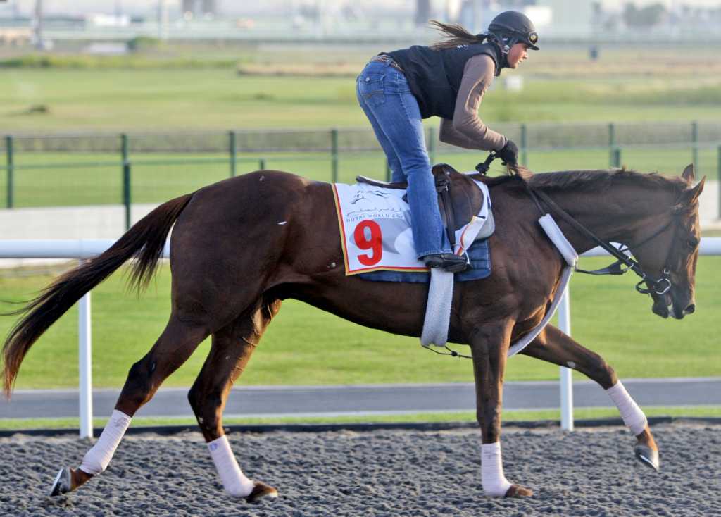 Run for racing's richest prize