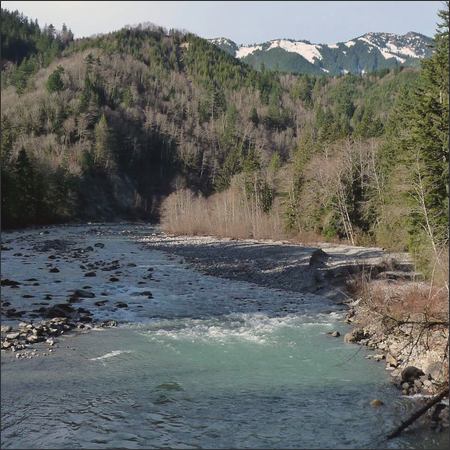 Hike of the Week: Middle Fork Snoqualmie Road
