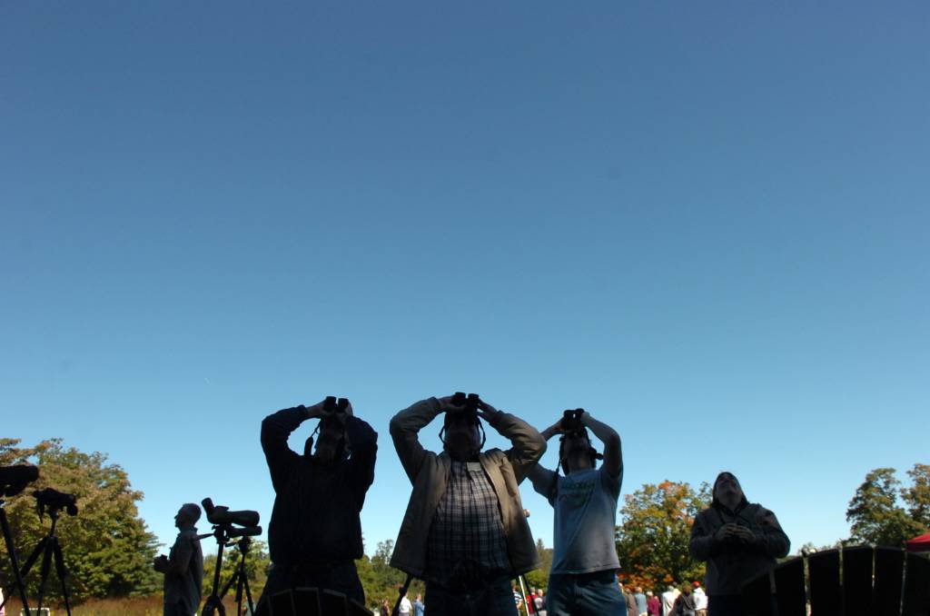 Thousands turn out for annual hawk watch