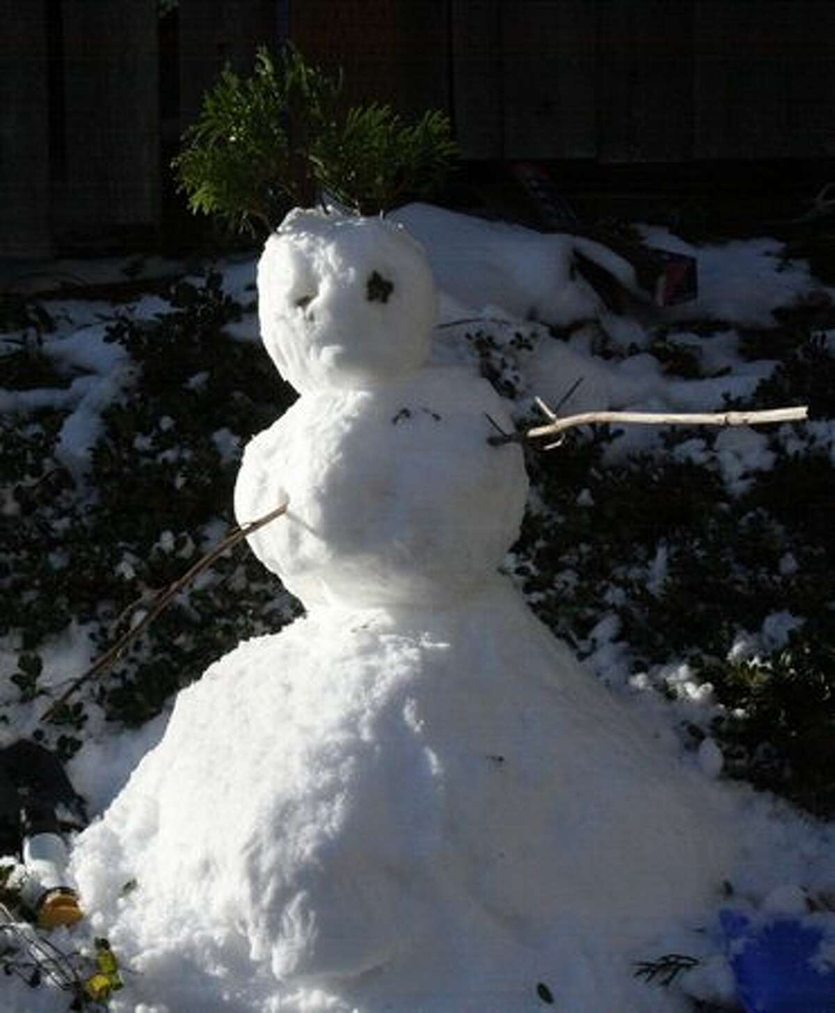 Snow in Seattle (11/22/10)