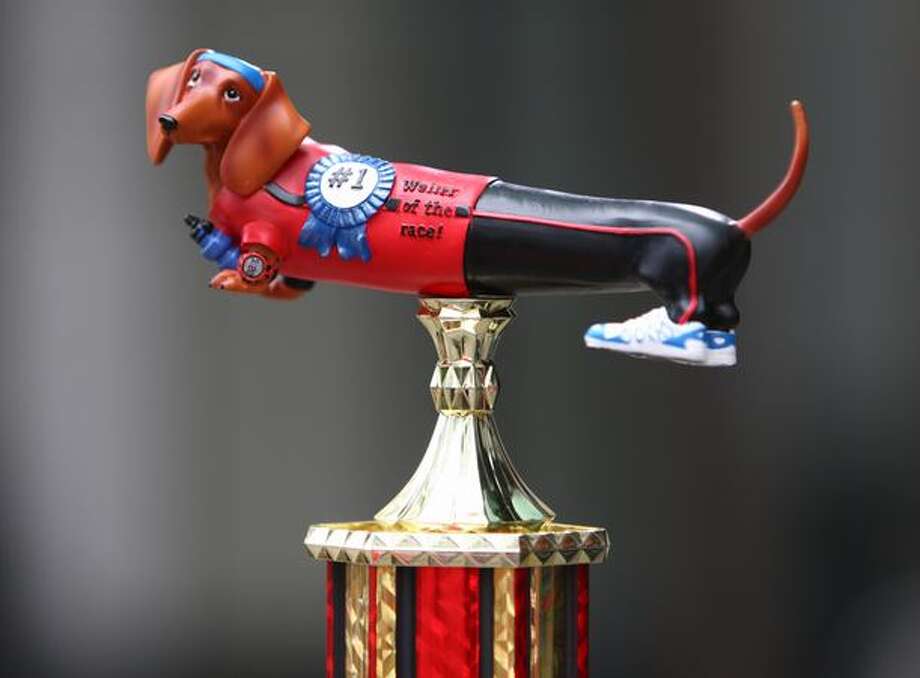 Wiener Dog Races - seattlepi.com