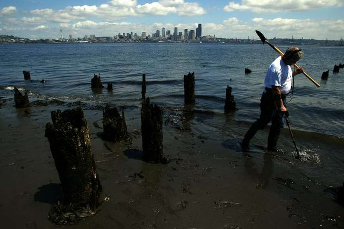 A look back at Seattle's Luna Park, 'Coney Island of the West'