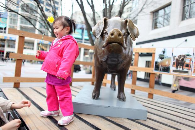 Rachel the pig returns to Pike Place Market