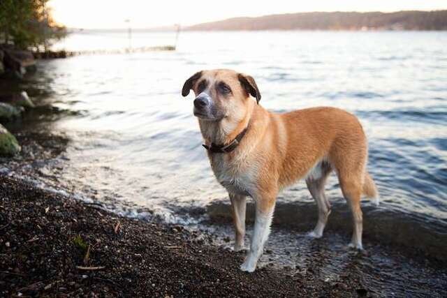 Nude parks in the Seattle area