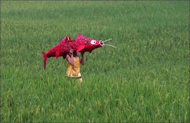 Offbeat photos of the week - 7/25/2008