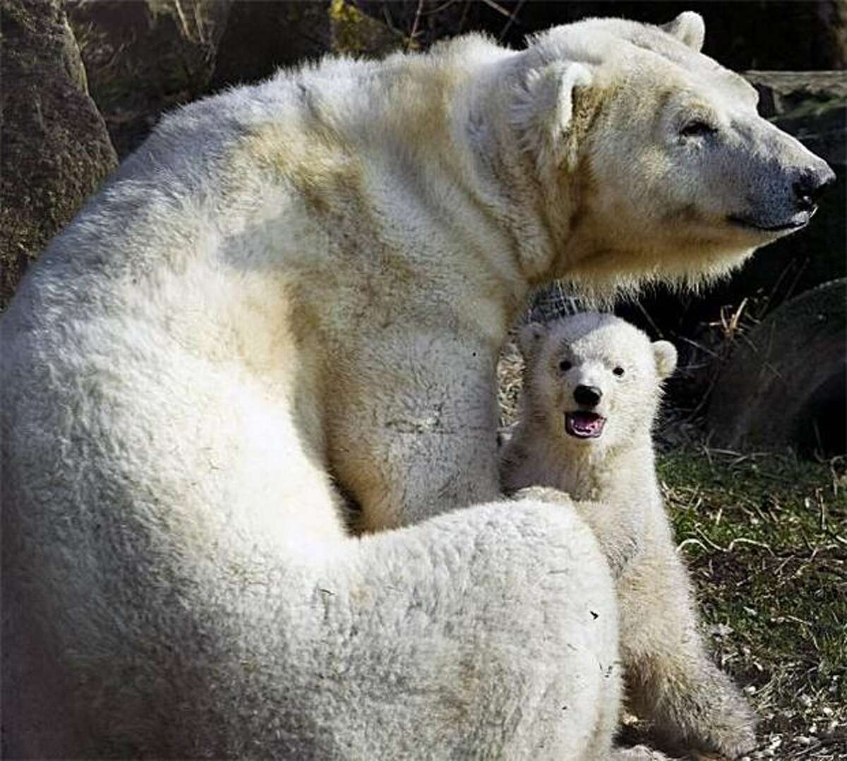 The Day in Pictures - 2/21/2011