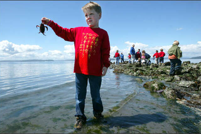 Seattle's 10 best beaches for exploring tide pools this summer