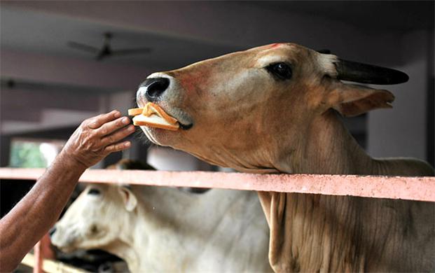 The Day in Pictures - 10/6/2010