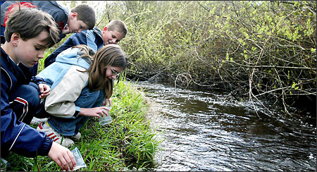 11 places to watch the salmon spawn in Seattle this fall