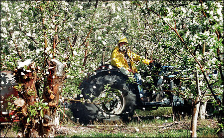 Connelly: Sen. Cantwell to Trump: How 'bout them apples?