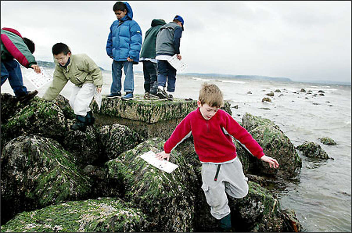 Seattle ranks among the most walkable cities in the US, but what is the ...