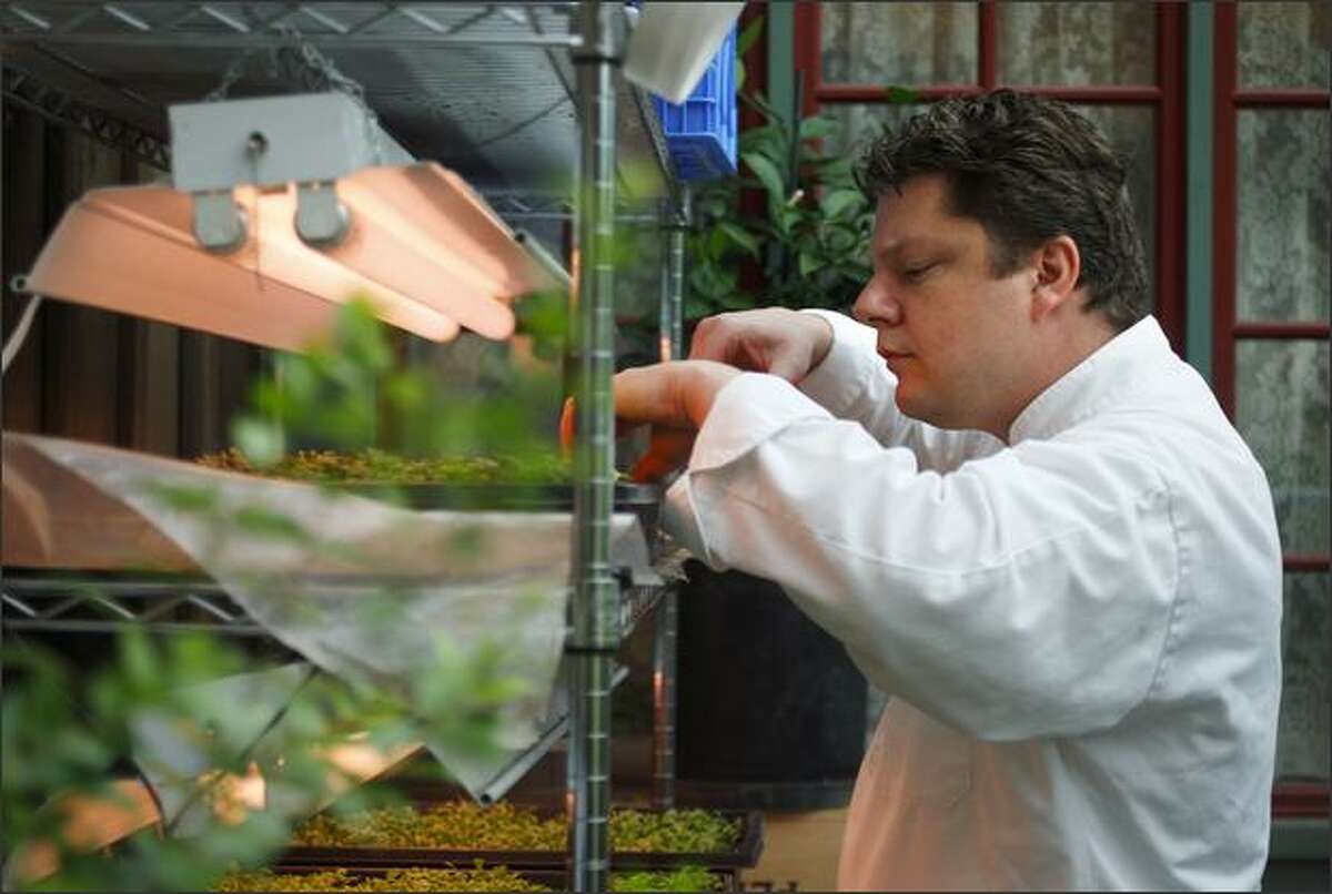 Daily News Gallery - 7/11/2008