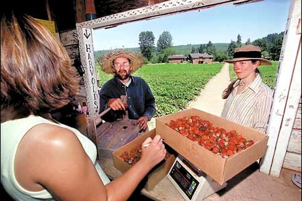 12 U-pick Washington berry farms to visit this summer