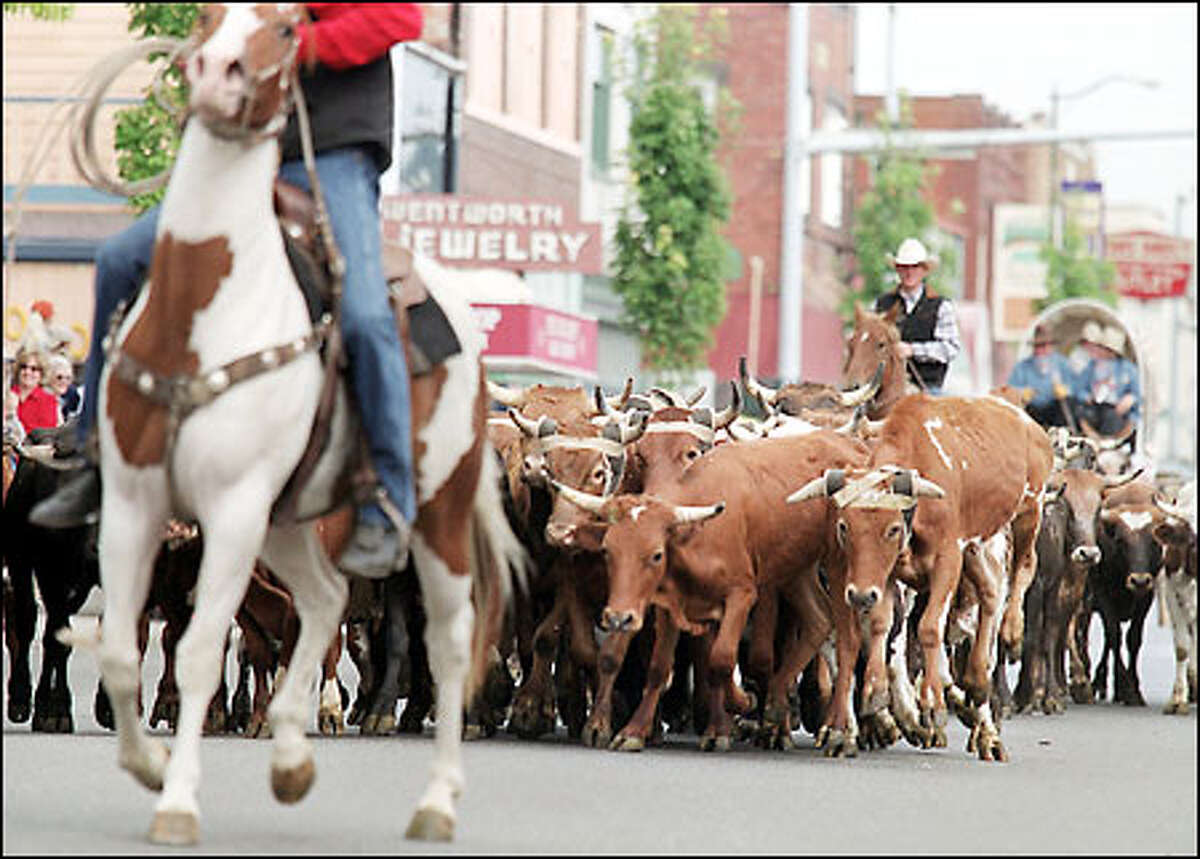 Daily News Gallery - 9/7/2001