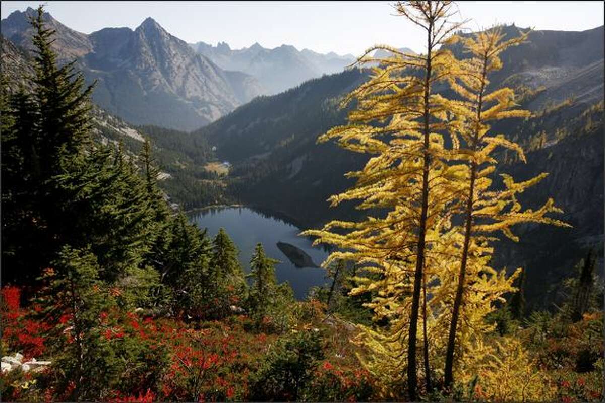 The 'Golden Week:' Larch in the high Cascades