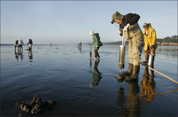 Dig it! Up to 100 days razor clam digging on Long Beach Peninsula