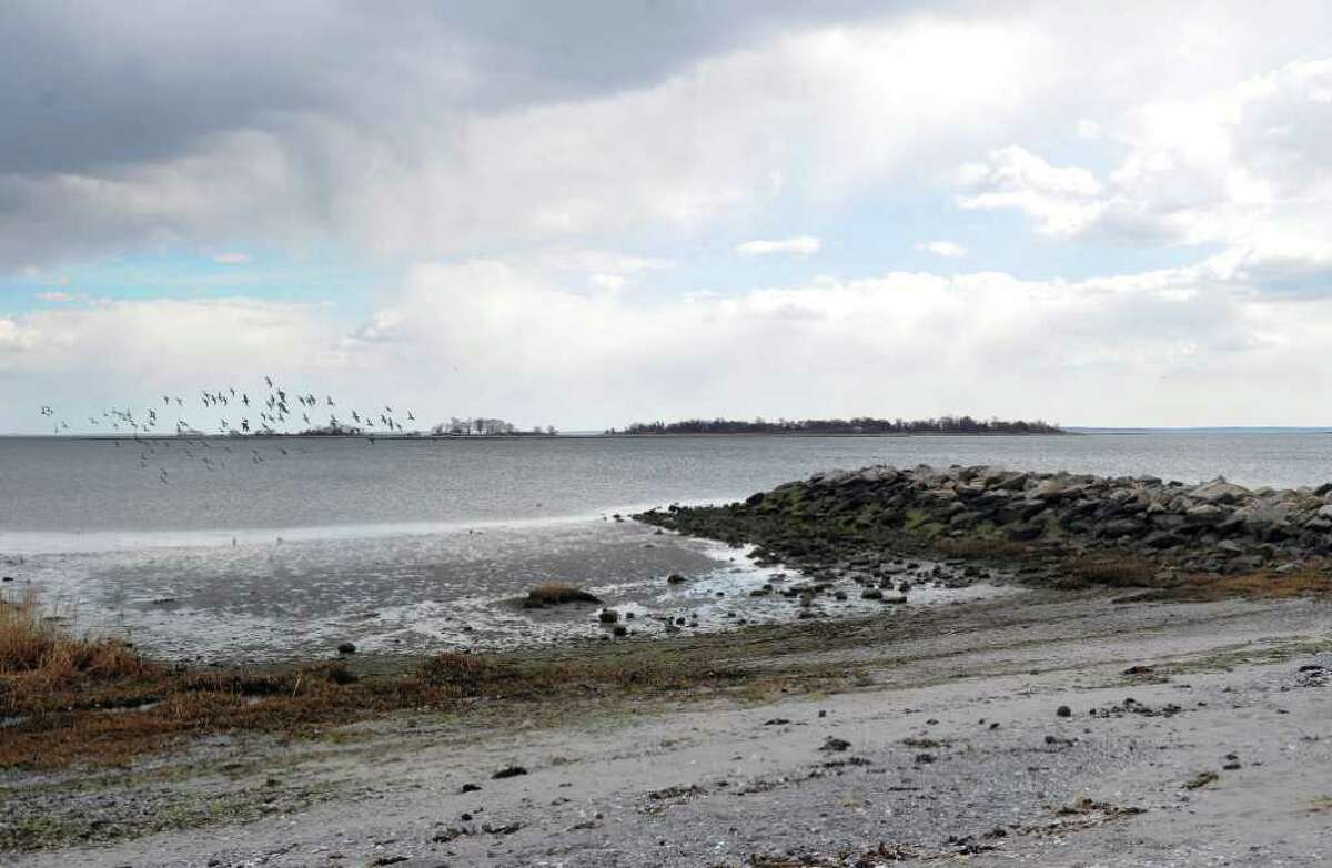 Friends of the Norwalk Islands to lead conservation charge