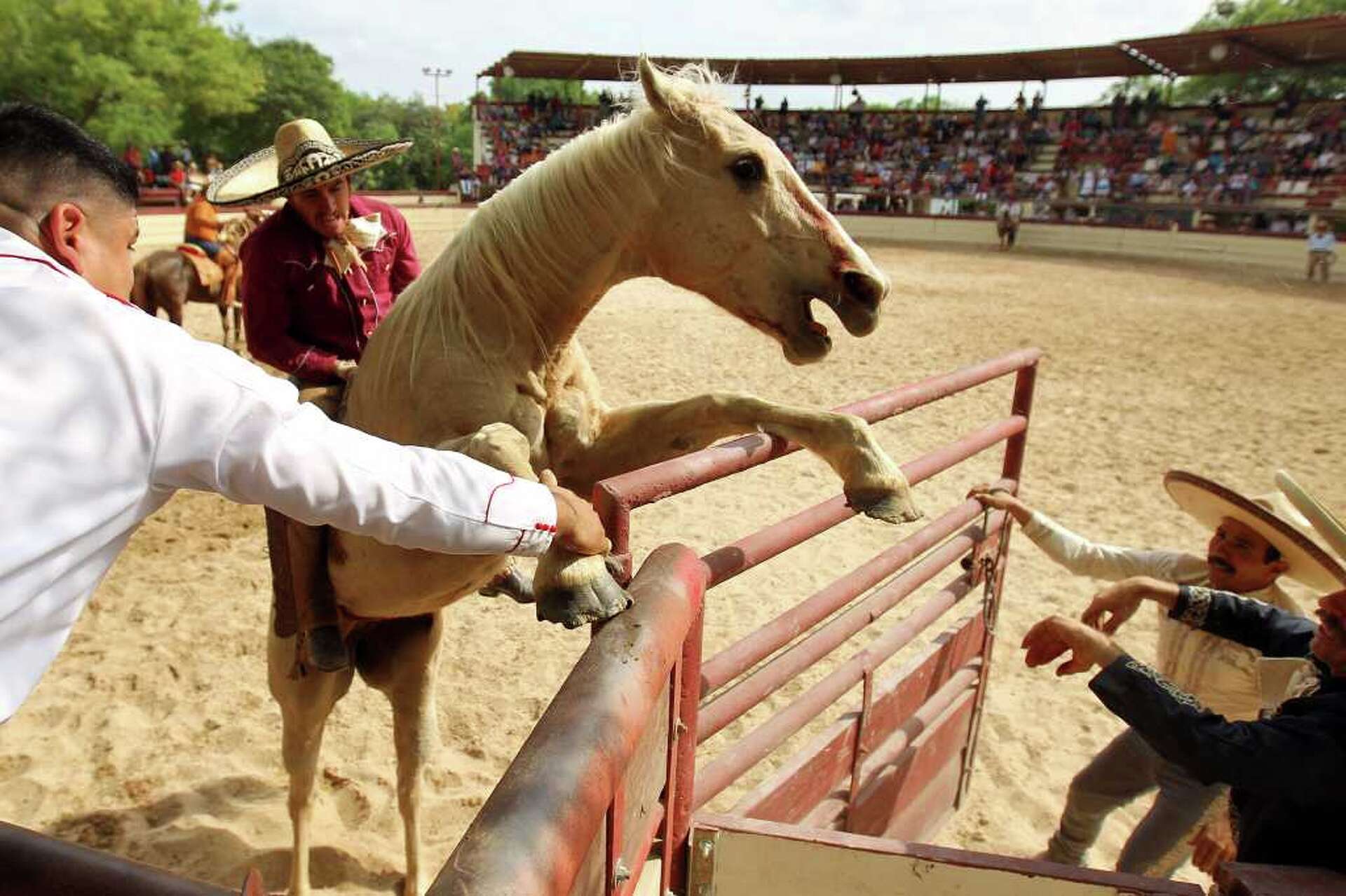 Record attendance cited at some Fiesta events