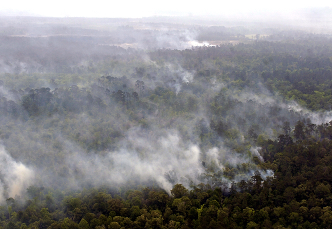 Chief forester: Hardin County and Tyler County wildfires 75 percent ...