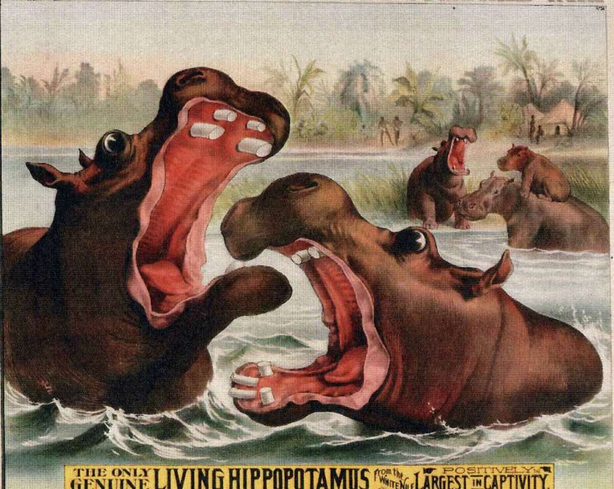 Grant helps restore damaged Barnum circus posters