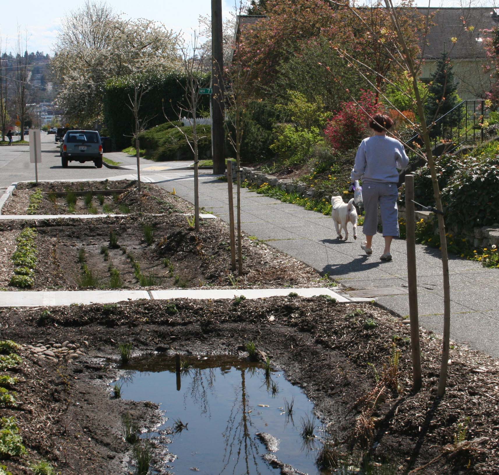 The worst of 2011 in Seattle