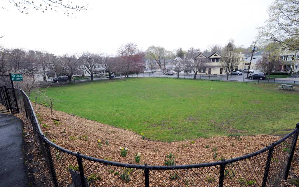 Field of dreams to finally become a reality for Wiffle ball devotees
