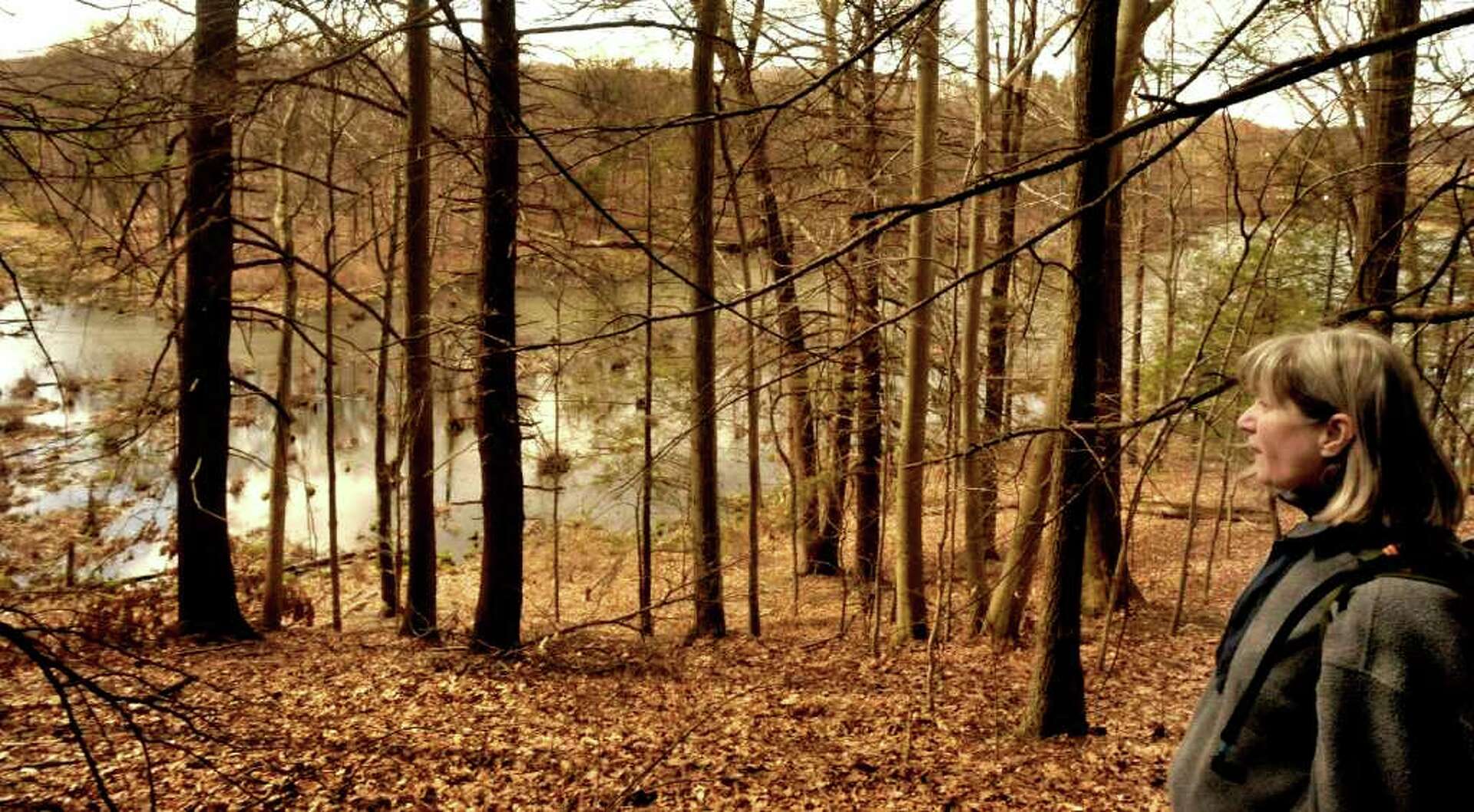 A picturesque journey to the source of the Still River in Danbury
