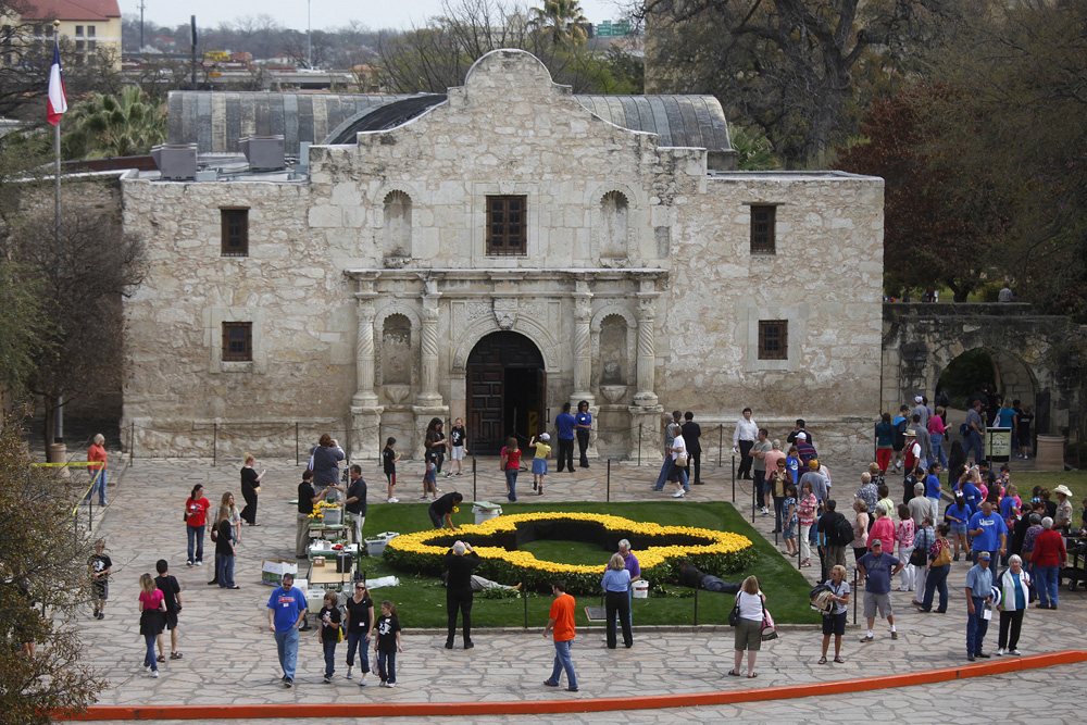 Paula Allen: Literally, a San Antonio rose