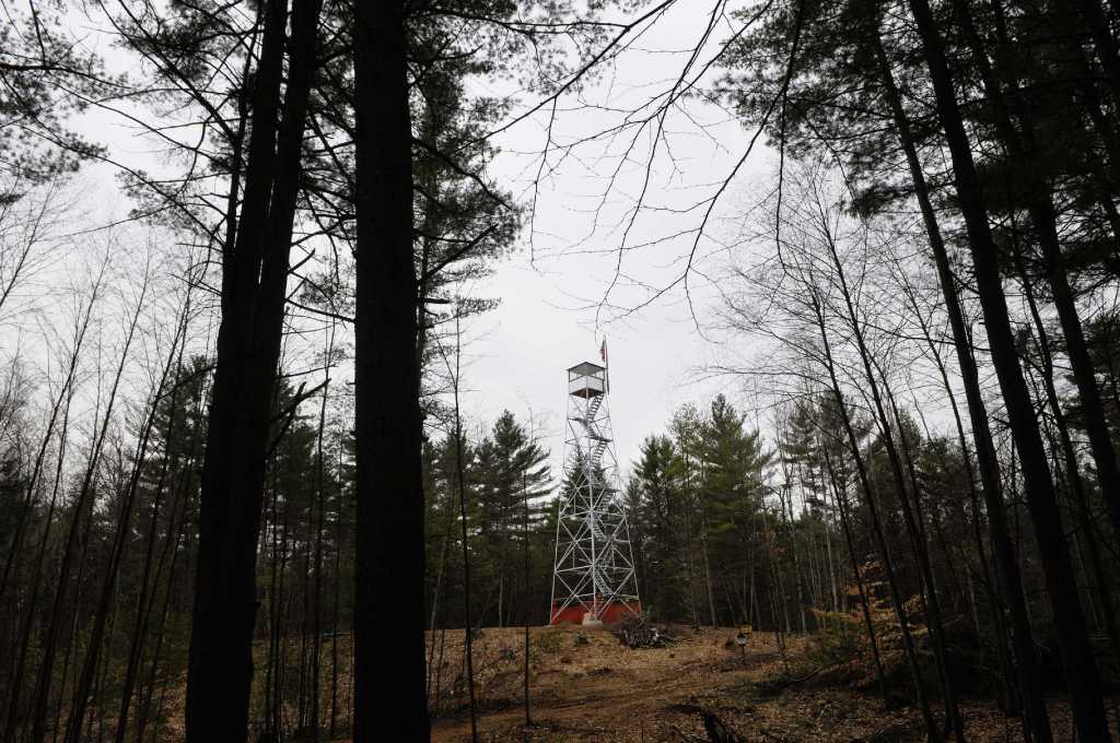 Nice view from on high in fire tower's new home
