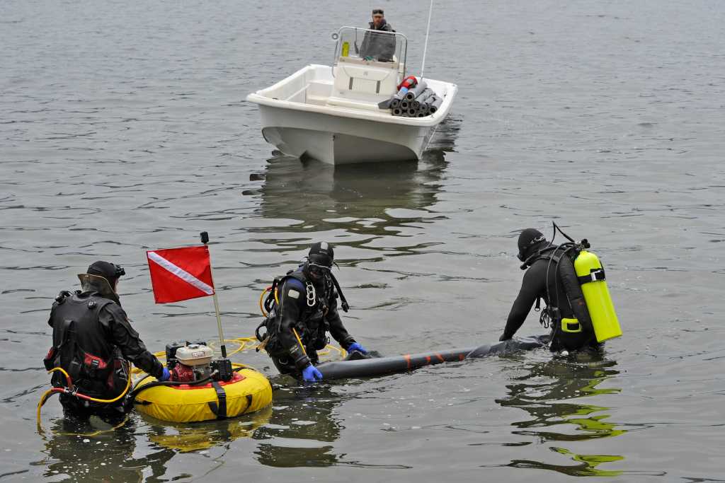 Divers targeting Asian clams