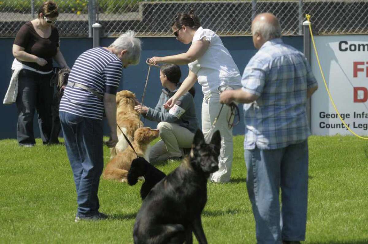 Photos: Dog show