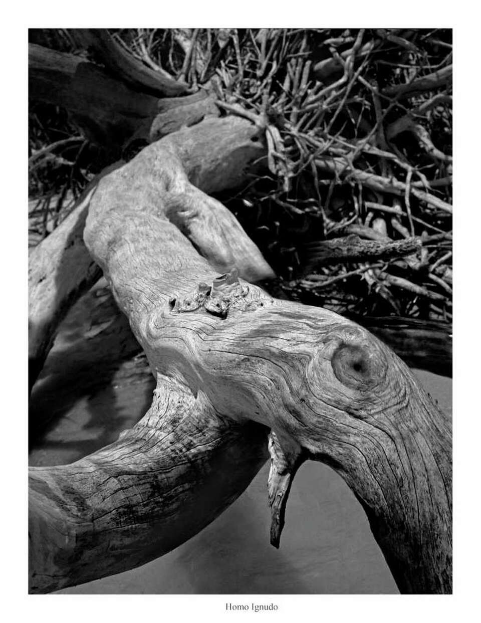 Beyond black and white with photographer Claudio Basso