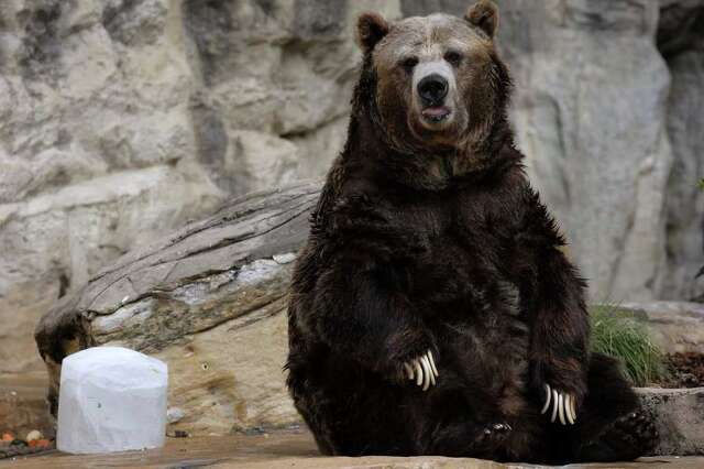 You know it's hot in S.A. when ...